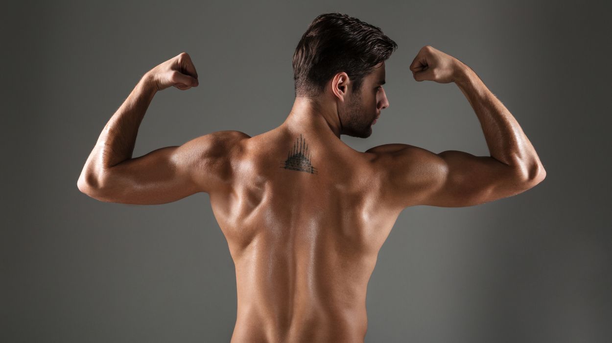 6 Best Barbell Shoulder Workouts For Strength & Muscle Growth