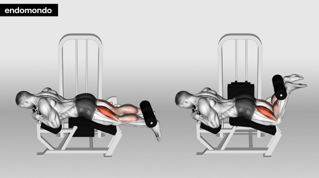 10 Best Leg Workouts For Building Muscle And Strength 2024