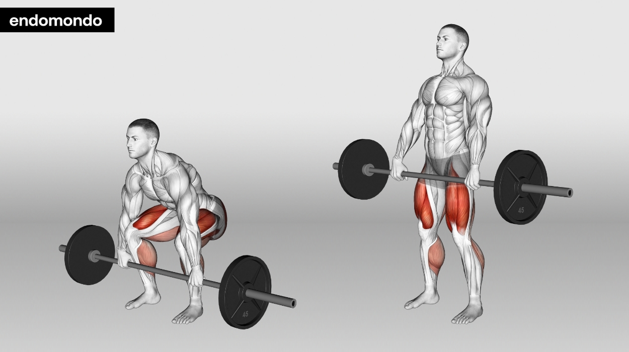 6 Exercises To Jump Higher 2025: Best Workouts To Help You