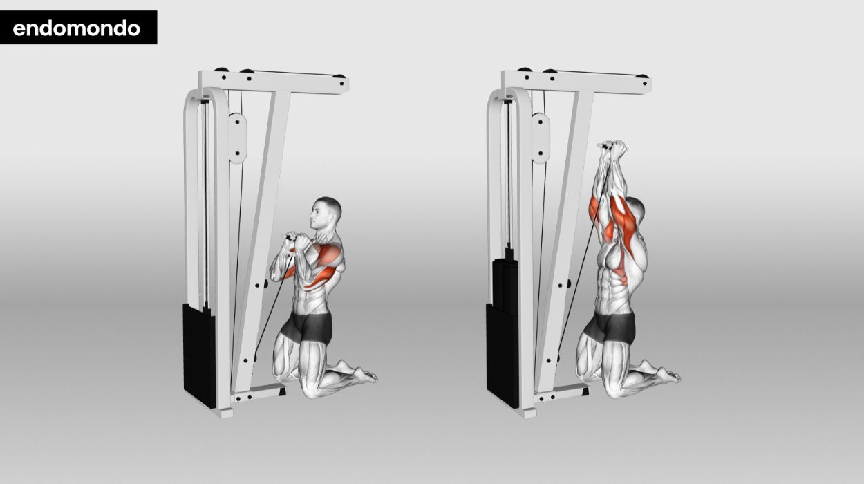 Cable Shoulder Workouts For Toned Shoulders 2025