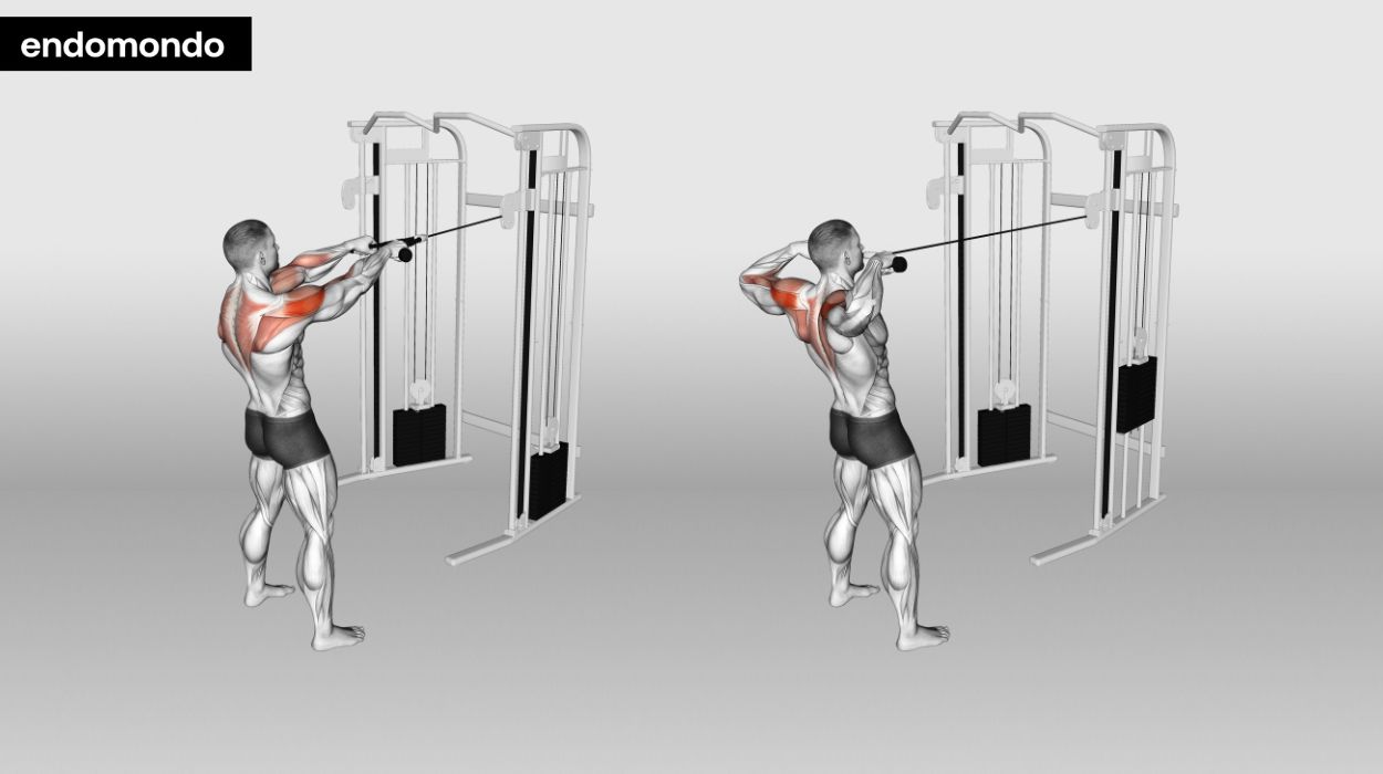 Shoulder Superset 2025: Top 4 Exercises For Growth