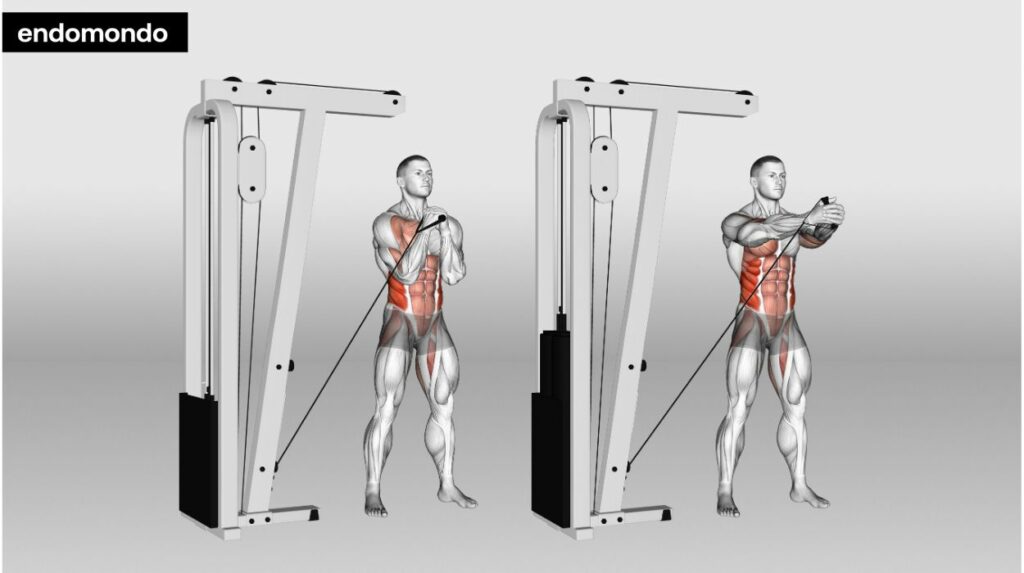 Cable Ab Workouts To Help You Carve A Rock-Solid Core 2025