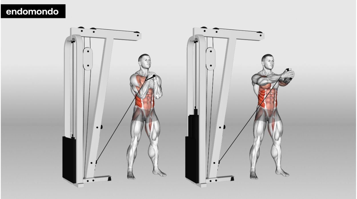 Cable Ab Workouts To Help You Carve A Rock-Solid Core 2025