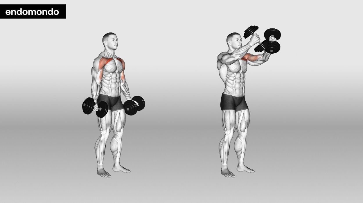 7 Best Dumbbell Chest Exercises At Home 2024