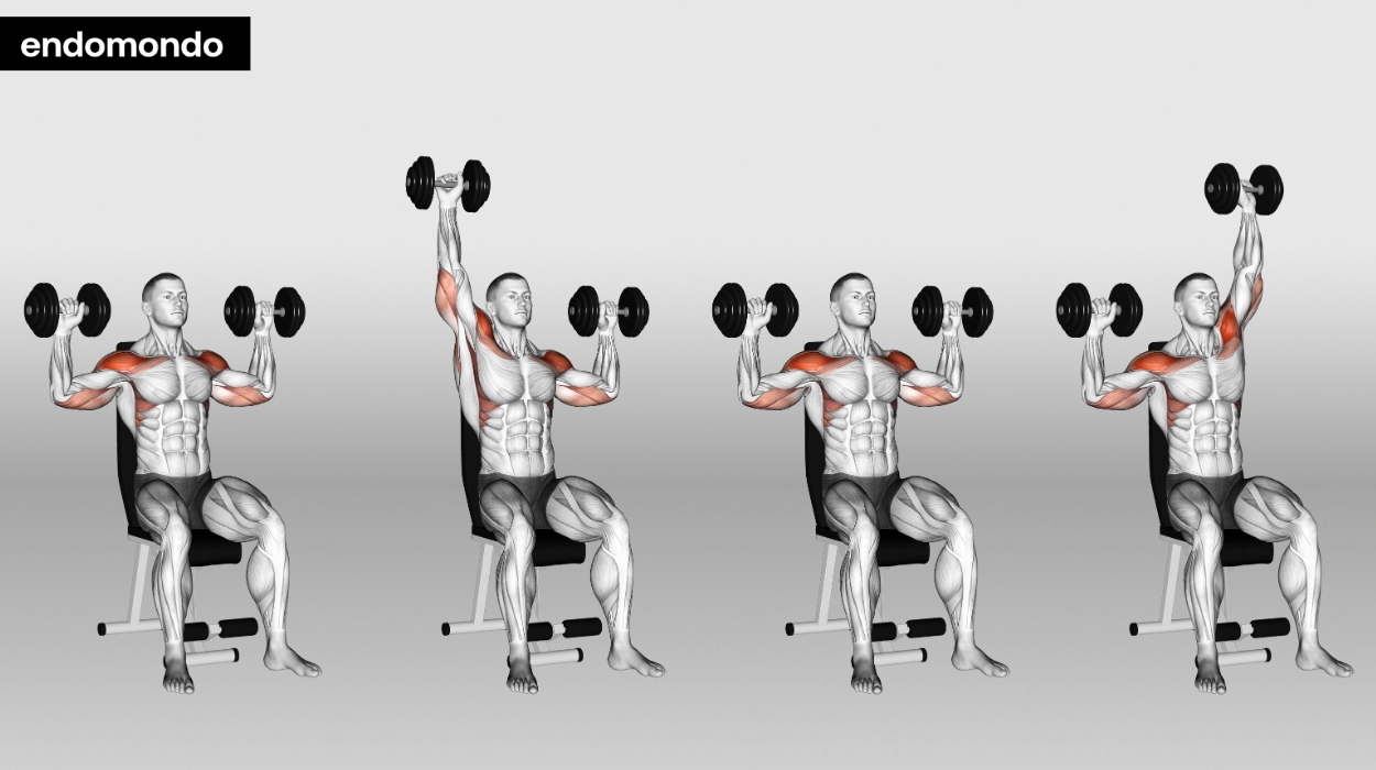 10 Front Delt Exercises To Build Strength & Size In 2024