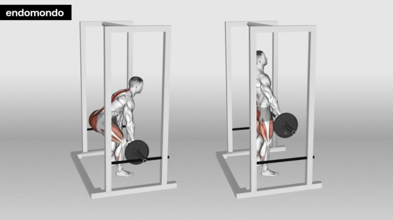 8 Best Shoulders & Traps Workouts In 2025