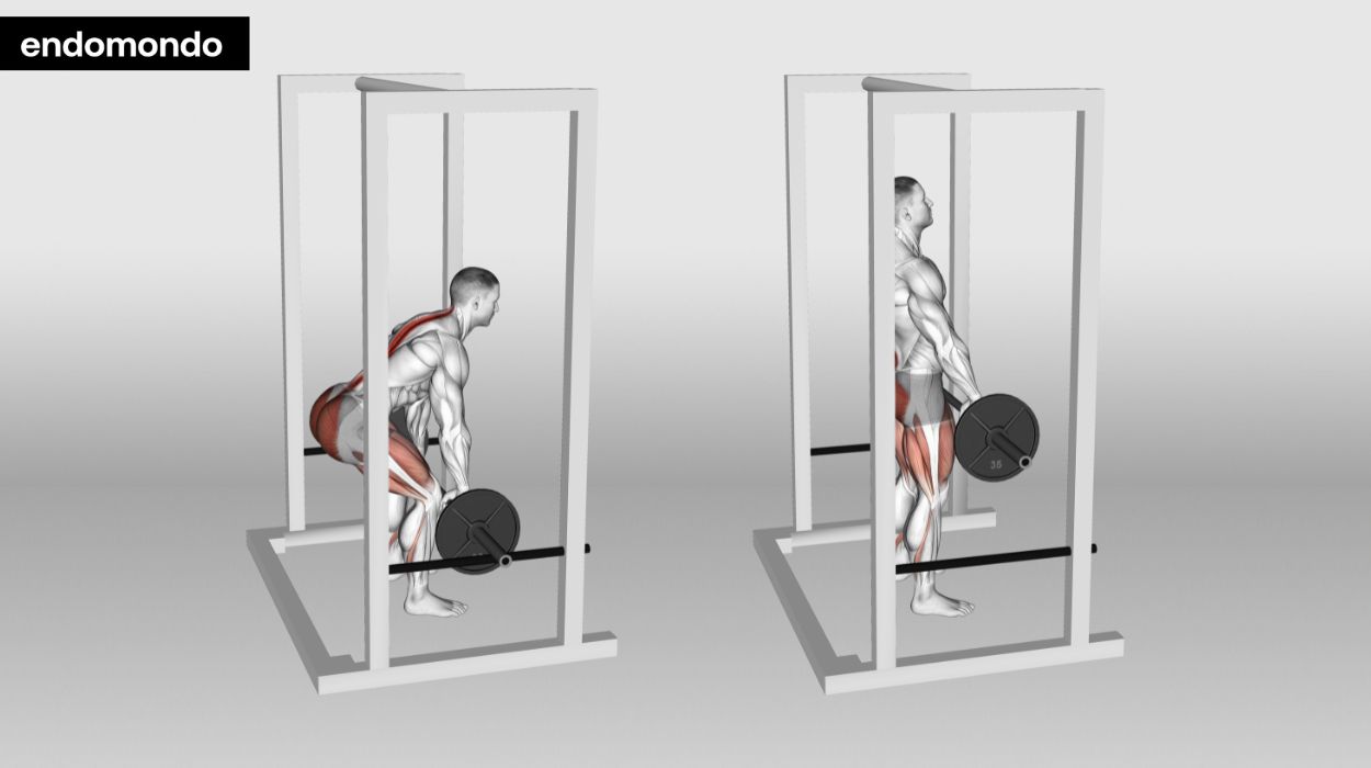 8 Best Shoulders & Traps Workouts In 2025