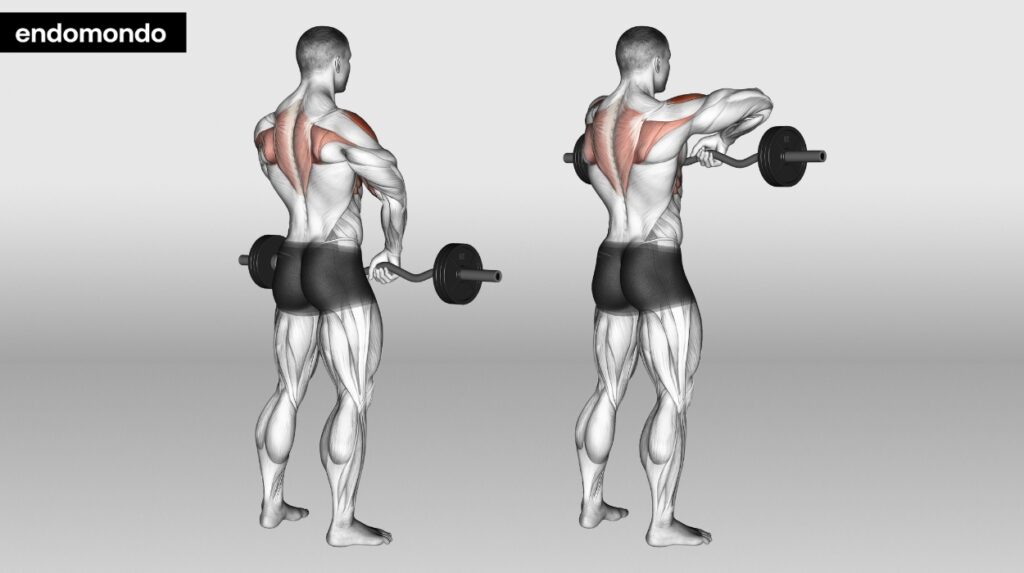 10 Overhead Press Alternatives: Best Exercises To Try In 2025