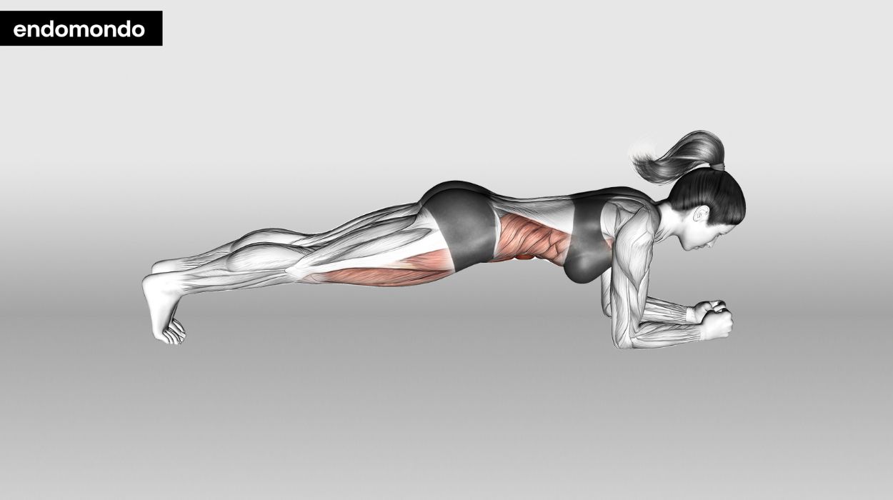 3 Transverse Abdominis Exercises For Core Strength 2025