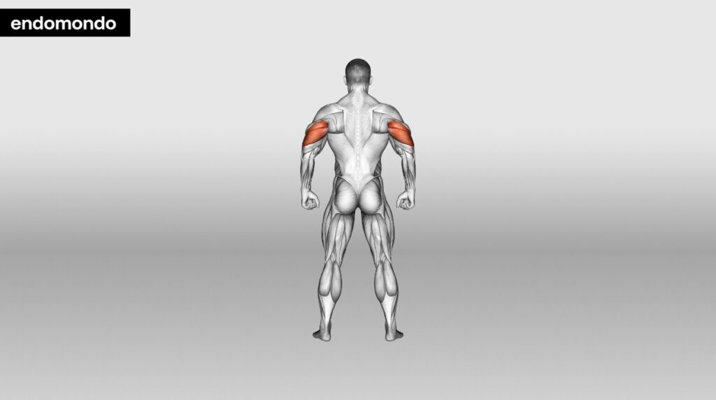 7 Tricep Stretches For Tight Muscles Relief & Safety Tips 2025