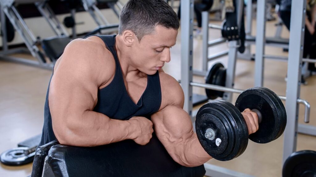 Average Bicep Size Breakdown 2025: Where Do You Stand?