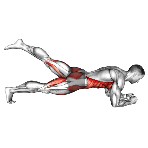 Exercise Video Guides: 300+ Exercises With Expert Guides & Tips