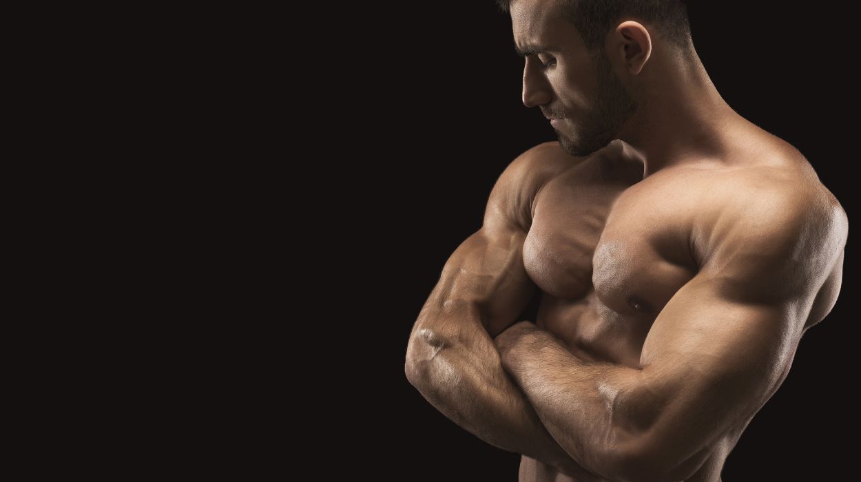 Steve Reeves Workout: Classic Routine for Strength & Aesthetics